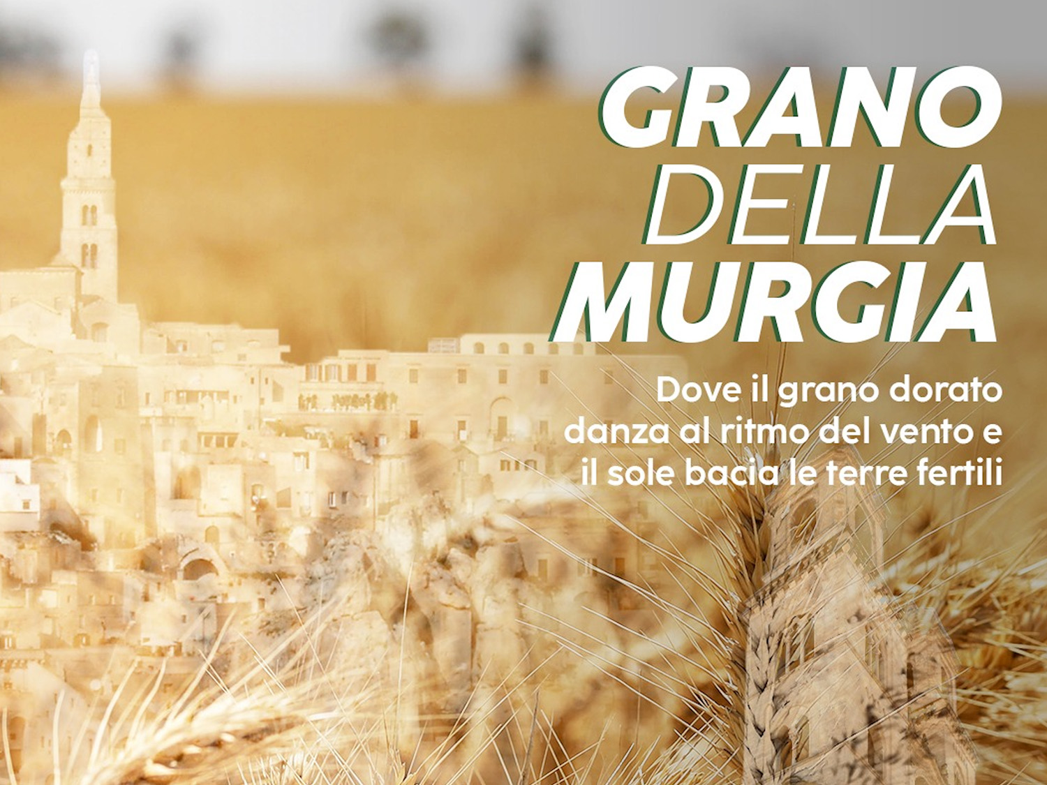 Pasta Bio Lori: l’eccellenza del grano della murgia - PastaLori